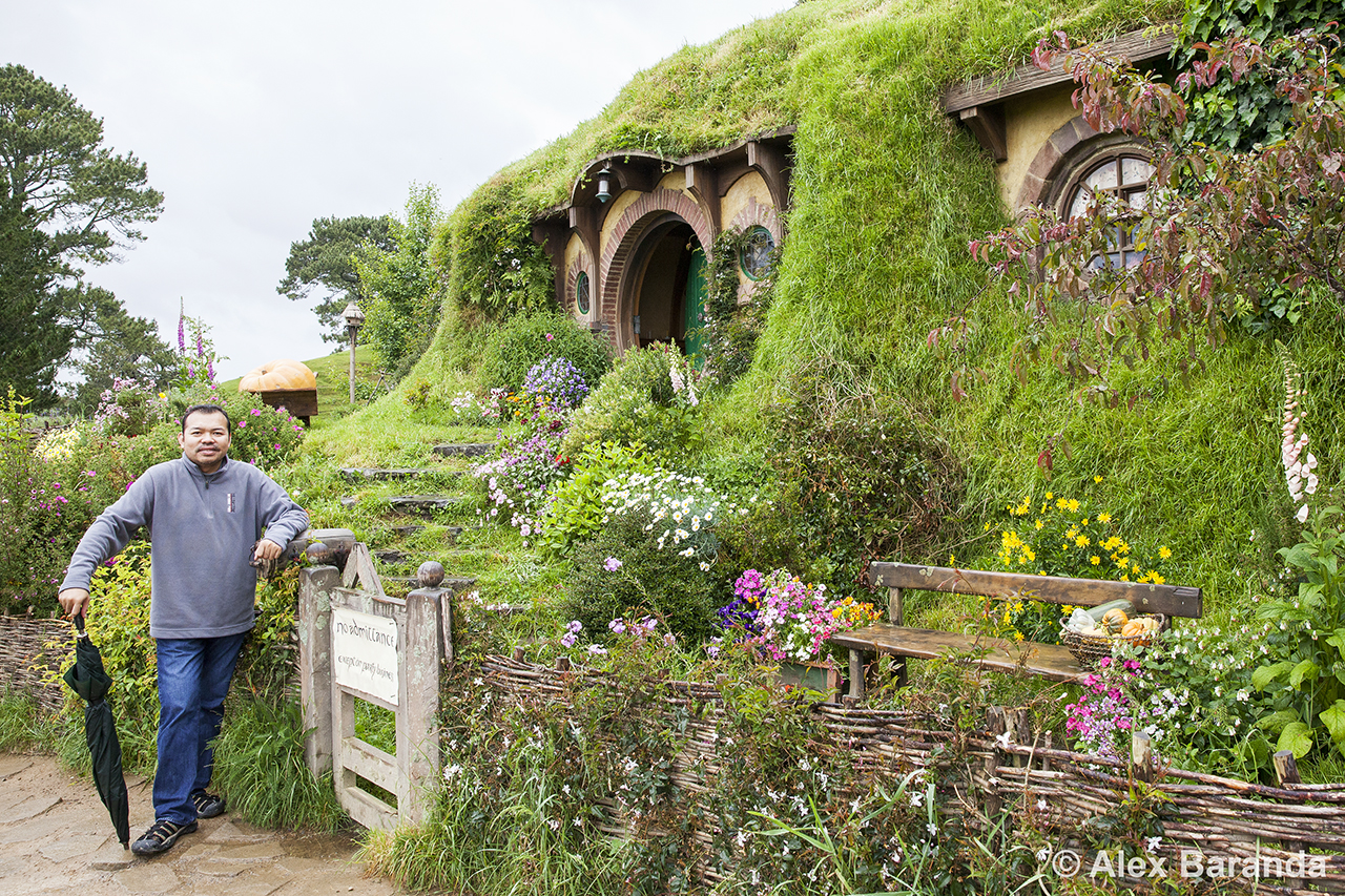 New Zealand: There and Back Again, a Hobbit's Tale - Sojourn of a Penguin